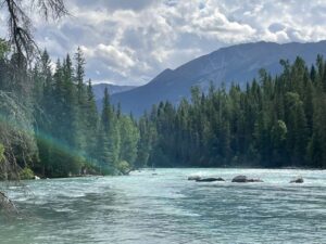 2024-2025 International Art & Photography Exhibition – Inspire Art Gallery